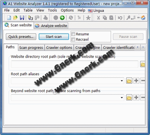 Micro-Sys A1 Website Analyzer V2.0.2 英文绿色特别版 - 起点软件园